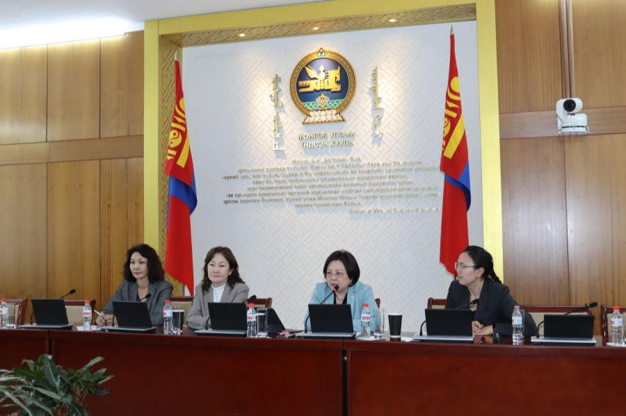 “Жендэрийн тэгш байдал ба уур амьсгалын өөрчлөлт” олон улсын хурал энэ сарын 22 нд болно